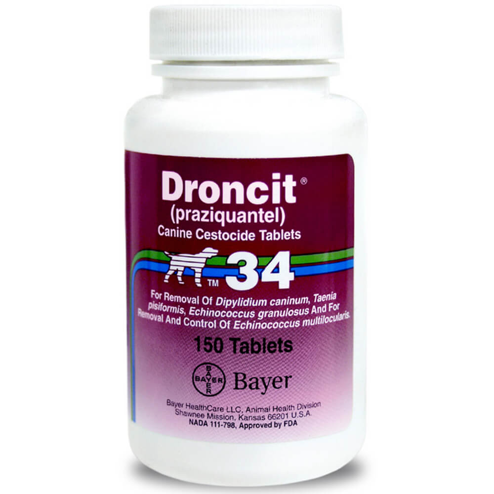 Droncit Tapeworm Treatment for Dogs - Lambert Vet Supply | Dog, Cat ...