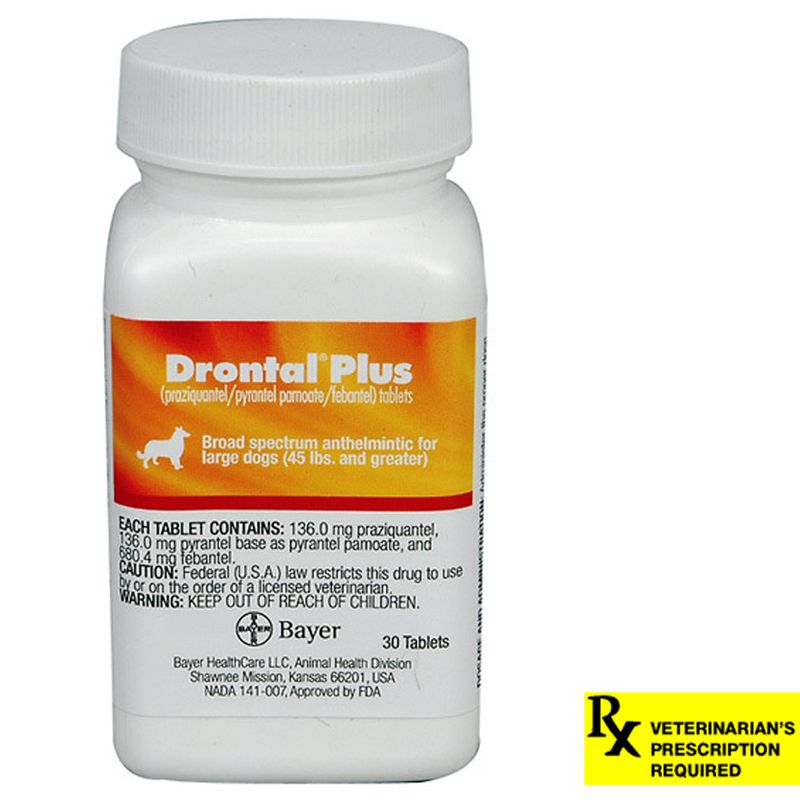 Drontal Plus, Treat Dog Worms | Pet Pharmacy - Lambert Vet Supply | Dog ...