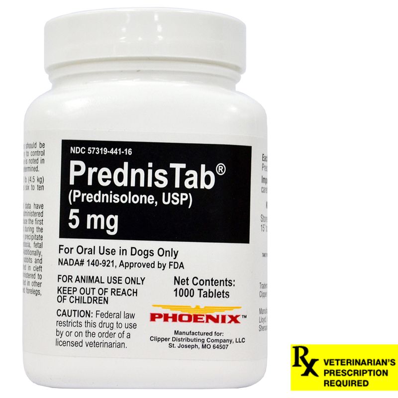 Rx Prednisolone, (Prednistab) - Lambert Vet Supply | Dog, Cat, Horse ...