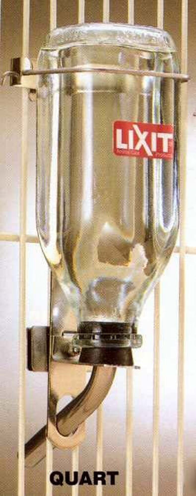 Lixit Glass Water Bottle, Small Tube, 32 oz - Lambert Vet Supply | Dog ...