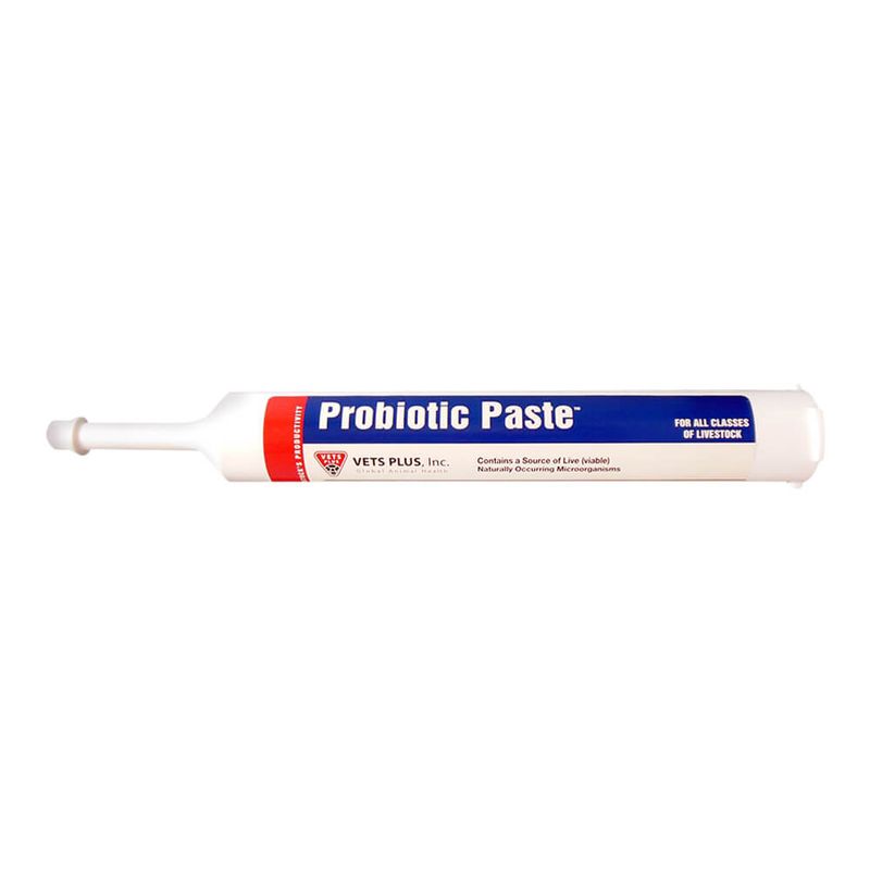 Vets Plus Probiotic Paste for Livestock - Pet Supplies 4 Less