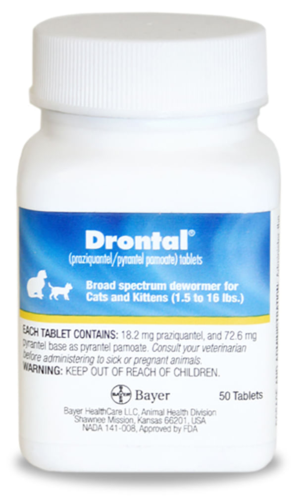 Drontal Tablets, Feline Tapeworm Treatment - Lambert Vet Supply | Dog ...