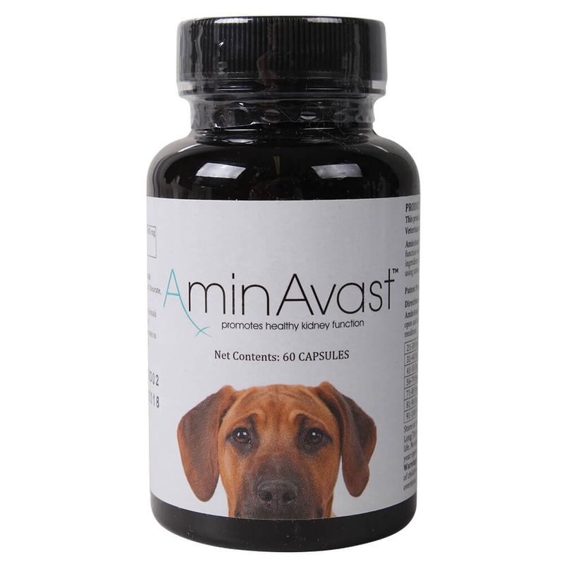 AminAvast for Dogs - Lambert Vet Supply | Dog, Cat, Horse, Kennel ...