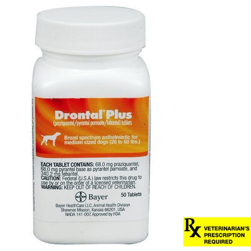 Drontal Plus, Treat Dog Worms | Pet Pharmacy - Pet Supplies 4 Less