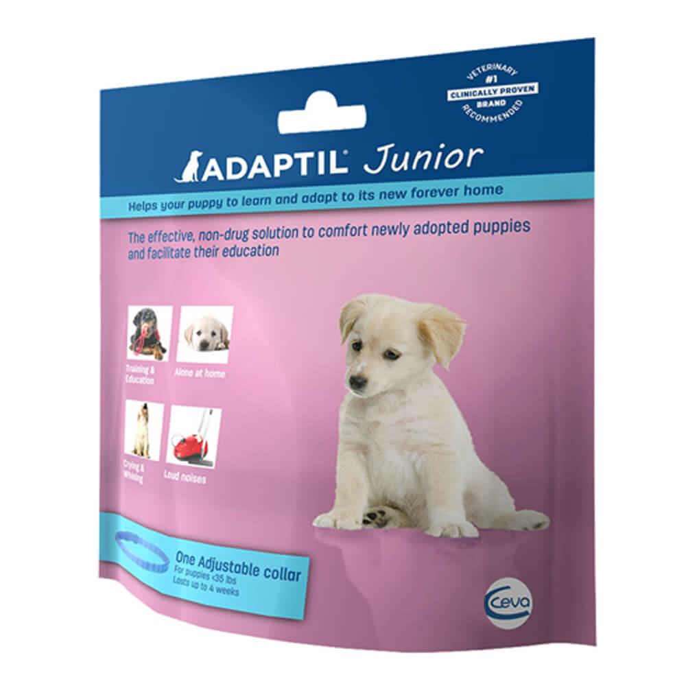 Adaptil Junior Collar for Puppies - Lambert Vet Supply | Dog, Cat ...