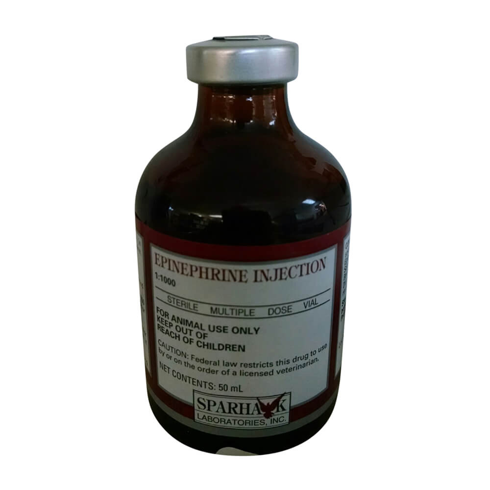 Rx Epinephrine Inj 1:1000 50ml, Allergy Medicine for Animals - Pet ...