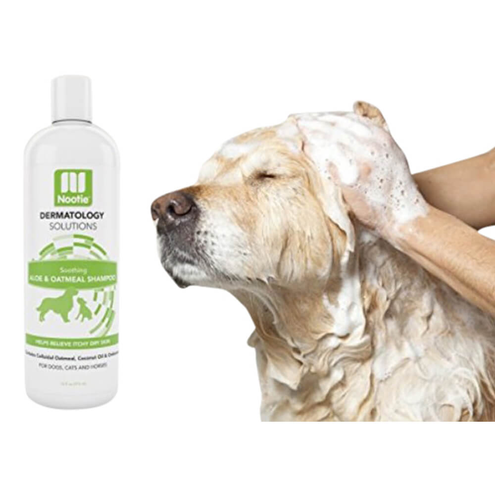 Aloe & Oatmeal Shampoo 16oz - Lambert Vet Supply | Dog, Cat, Horse ...