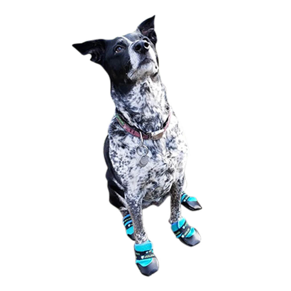 Urban Walker Dog Boots, Teal, M/L - Lambert Vet Supply | Dog, Cat ...
