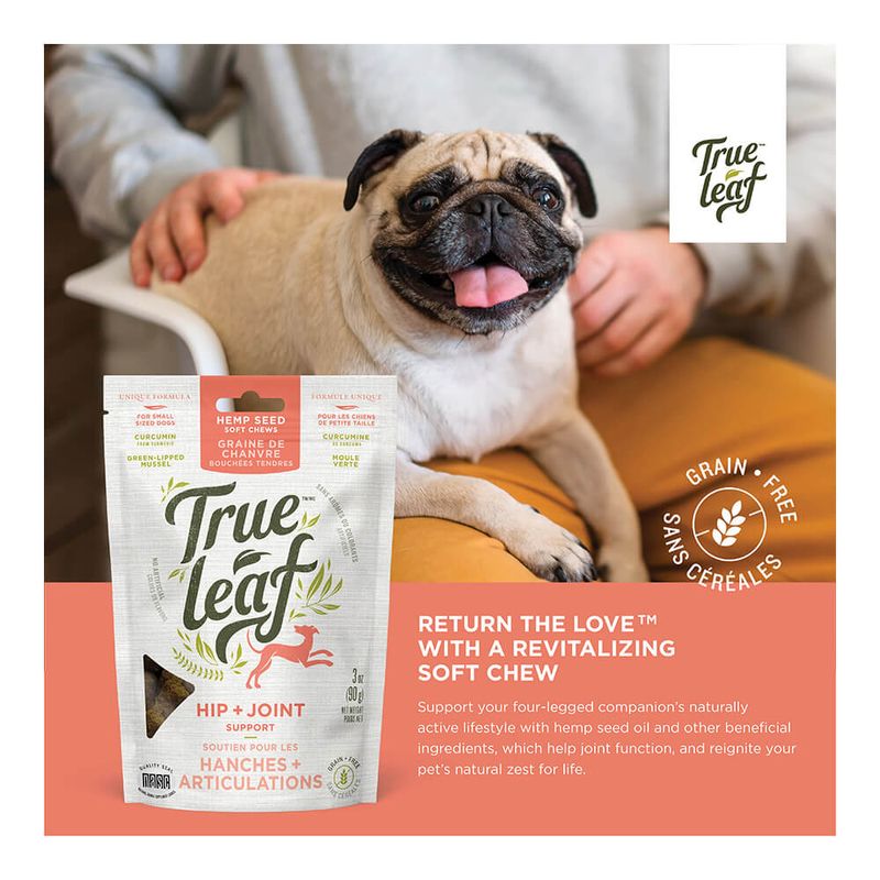 True Leaf Hemp Hip + Joint Chews - Pet Supplies 4 Less