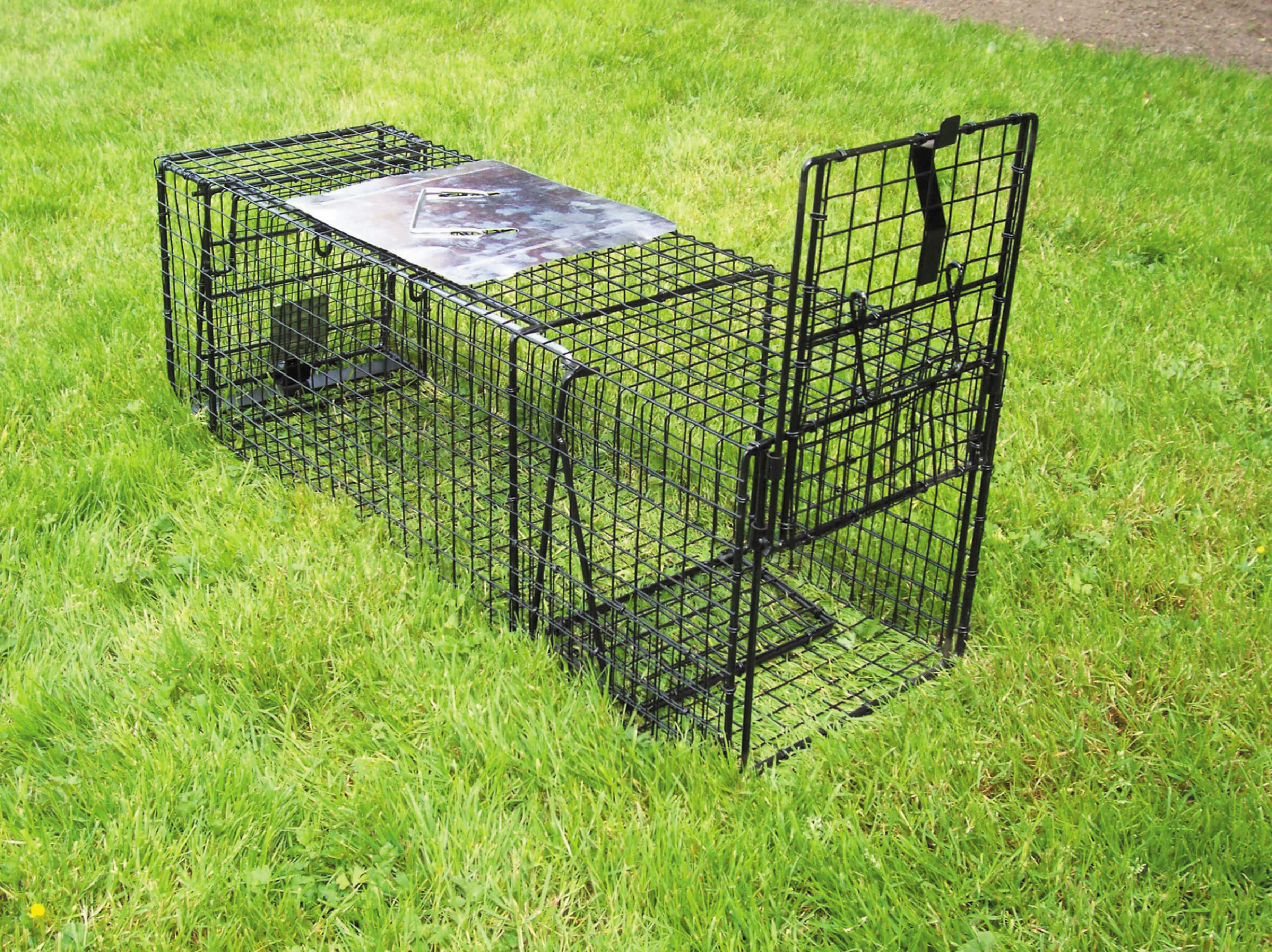 Humane Way Standard Live Animal Traps | Lambert Vet Supply - Lambert ... Humane Way Standard Live Animal Traps | Lambert Vet Supply - Lambert ...