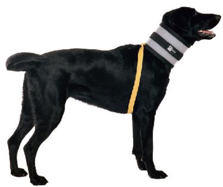 BiteNot Dog Collar | Dog Bite Collar - Lambert Vet Supply | Dog, Cat ...