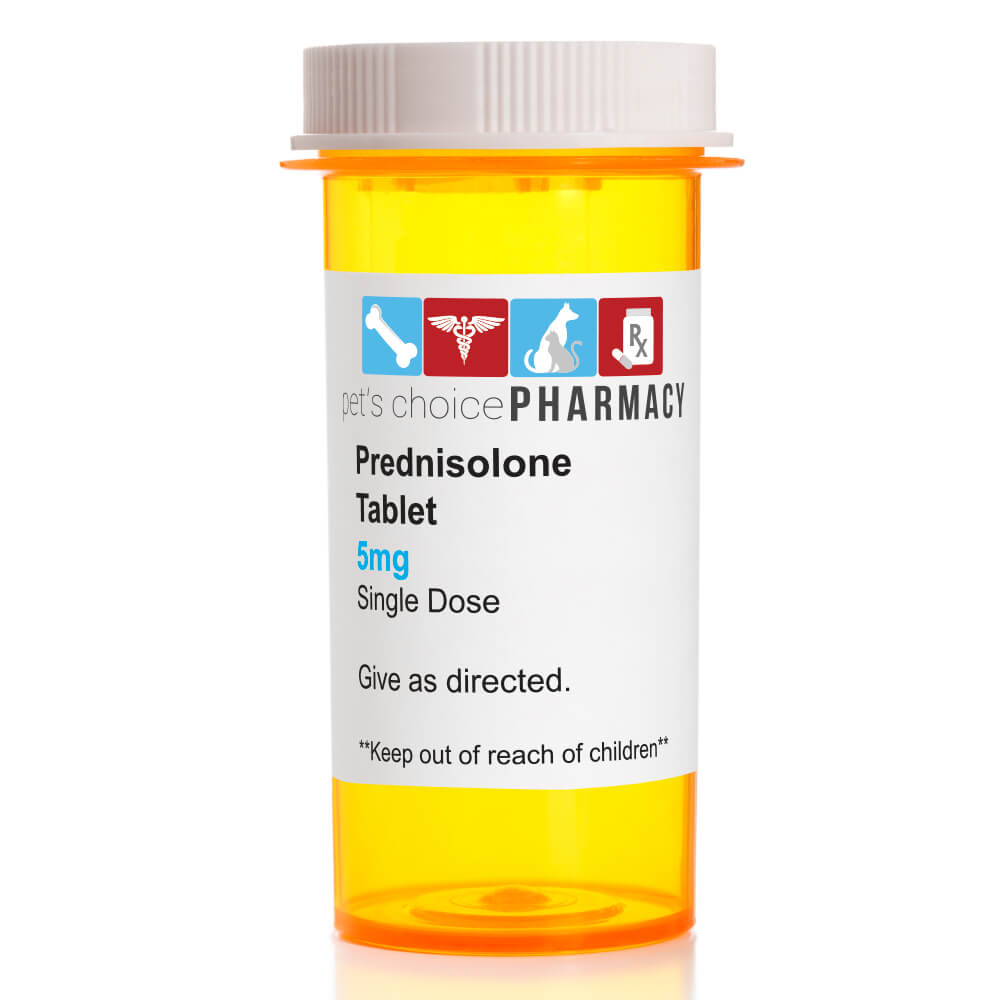 Rx Prednisolone, (Prednistab), 5mg x 1 Tablet - Lambert Vet Supply ...