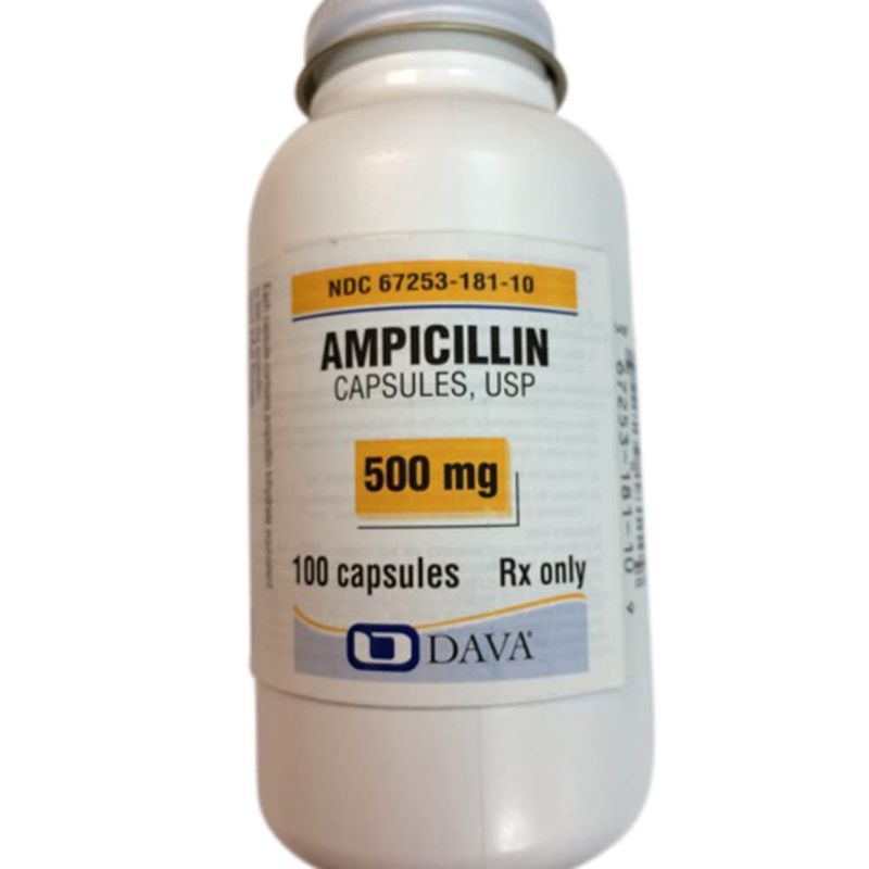 Rx Ampicillin Caps, 500 mg, 100 ct - Lambert Vet Supply | Dog, Cat ...