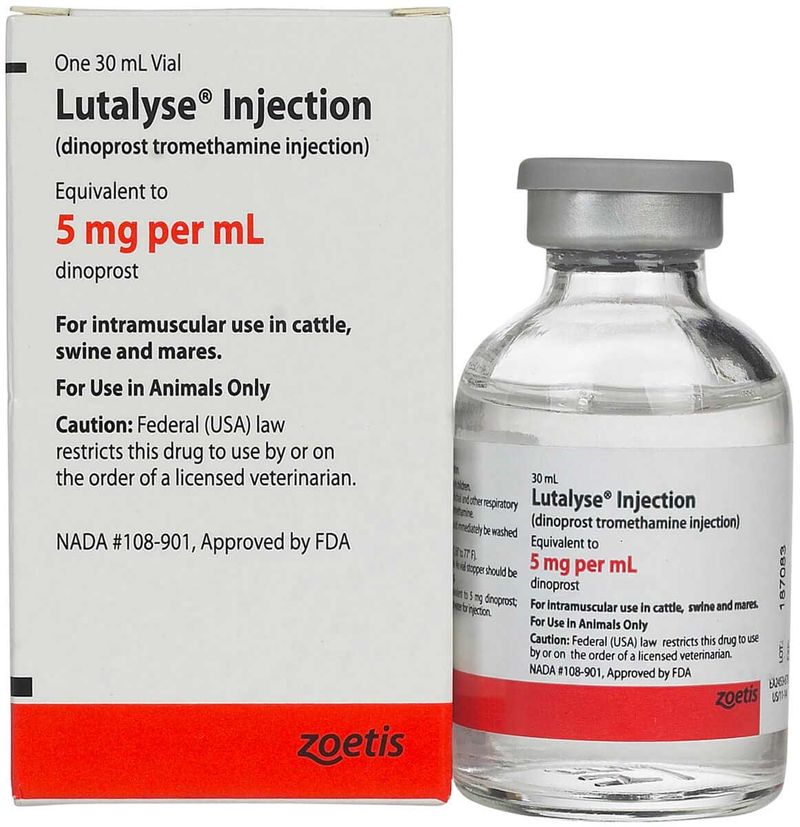 Lutalyse, Injection, 100 ml | Pet Pharmacy - Lambert Vet Supply | Dog ...