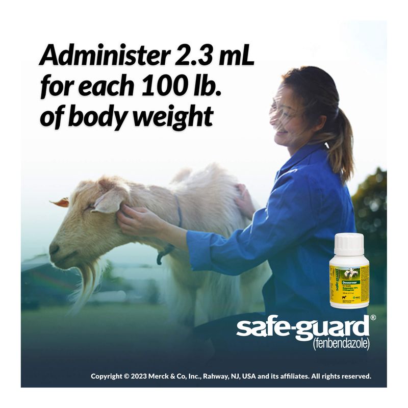Safe Guard Suspension, Treats Stomach Worms in Goats - Pet Supplies 4 Less