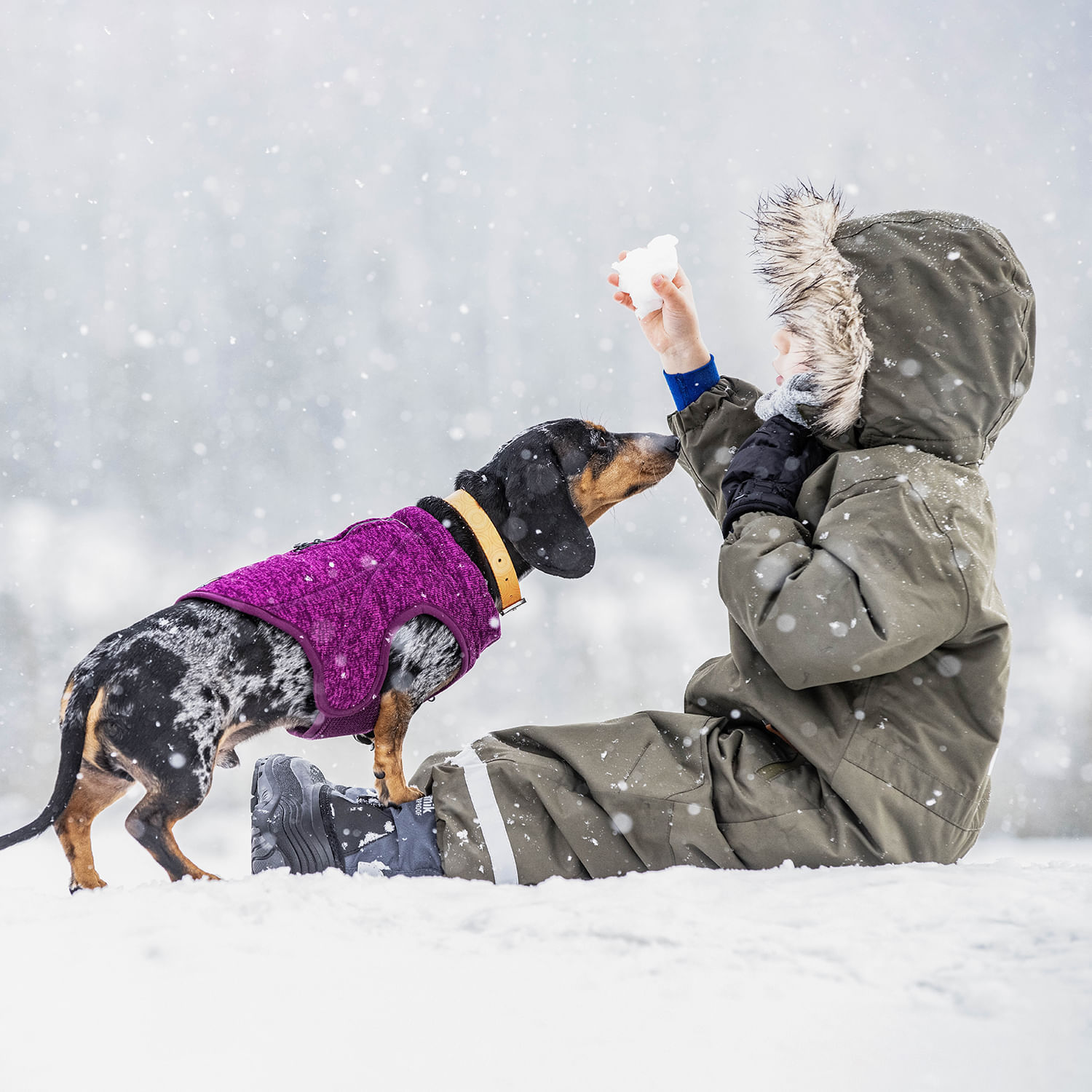 Kurgo K9 Core Sweater for Dogs - Pet Supplies 4 Less