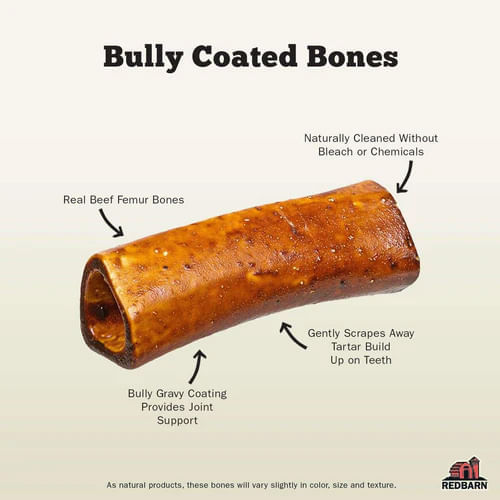 Redbarn Bully Coated Large Bone Dog Treat - Pet Supplies 4 Less