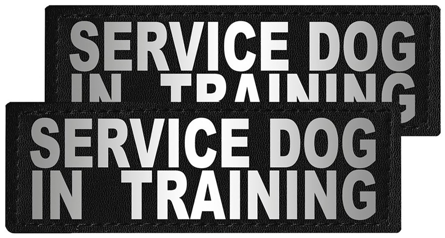 Removable Reflective "Service Dog In Training" Patches, set of 2 ...