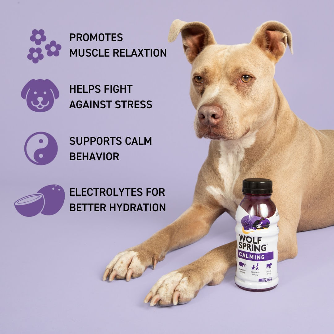 Wolf Spring Calming Dog Food Topper - Pet Supplies 4 Less