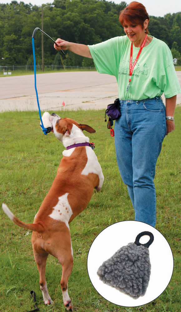 Vee Chase 'n Pull Dog Toy (& Replacement Parts) - Lambert Vet Supply ...