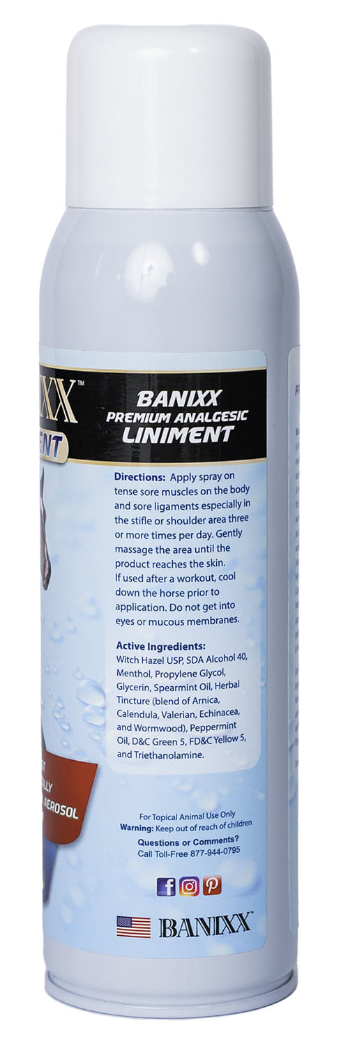 Banixx Premium Spray Liniment for Horses - Pet Supplies 4 Less